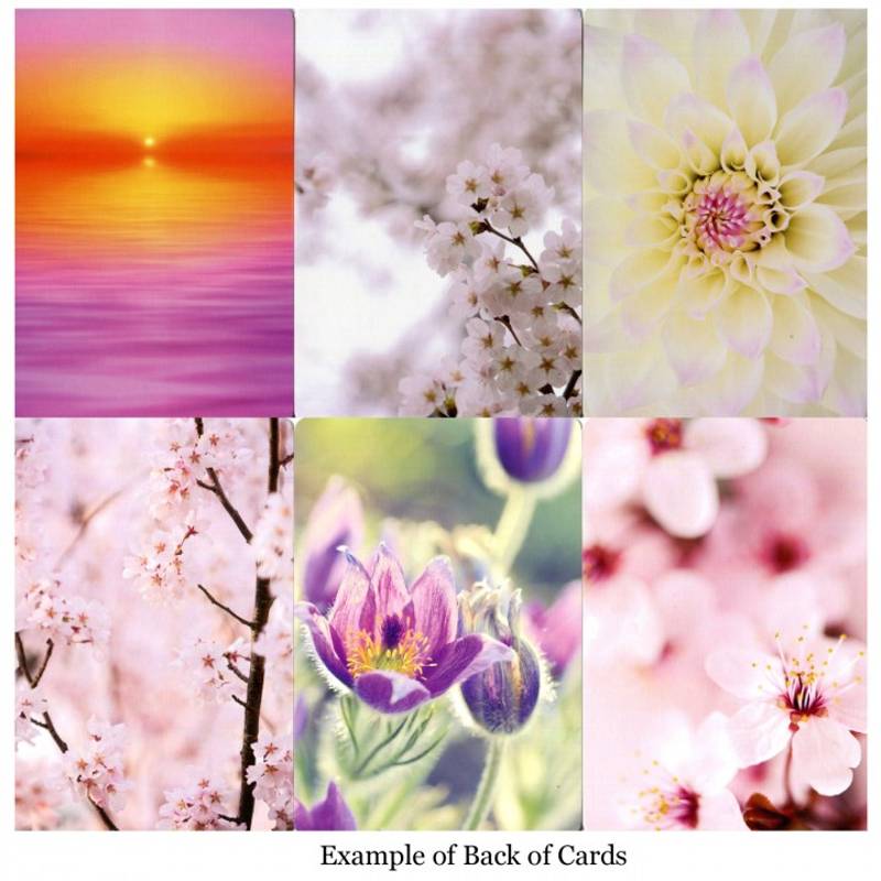 The Flower Of Life Oracle Cards | Best Flower Site